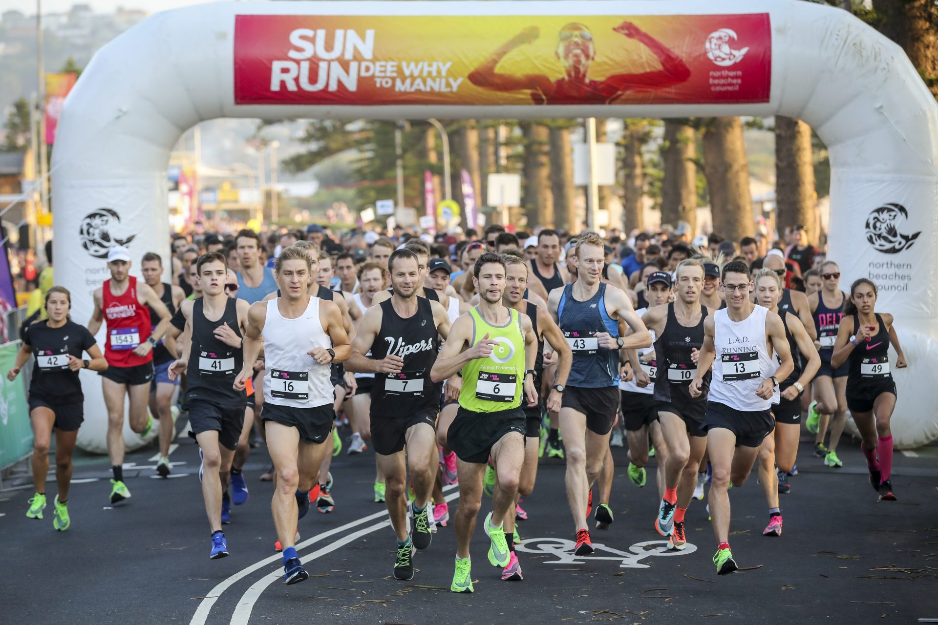 Understanding your audience - The Social Dingo